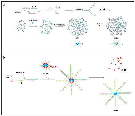 Catalyzed Hairpin Assembly Assisted Dna Dendrimer Enhanced Fluorescence Anisotropy For Microrna