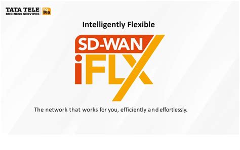 Wan Setup Services At 49999 Year In New Delhi ID 2853469182262