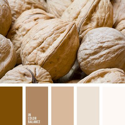 цвета грецкого ореха | IN COLOR BALANCE