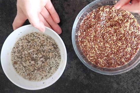 Easy Seed Cracker Recipe Multi Seed Crackers Simplybeyondherbs