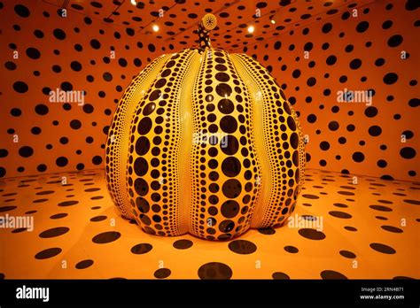 Yayoi Kusama Pumpkin Room Hirshhorn Museum Washington Dc Washington