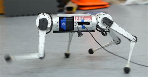 Watch Mits Mini Cheetah Robot Teaches Itself How To Run