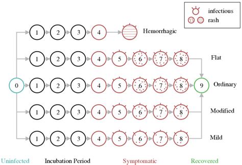 Smallpox Stages Used In The Simulation Model Flat And Ordinary