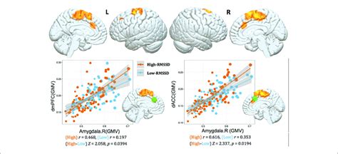 Interaction Results Of Rmssd And Structural Covariance Network Of The Download Scientific