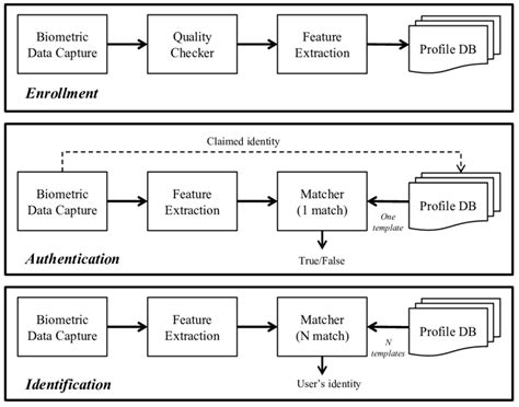 1 Block Diagram Of A Biometric System [65] Download Scientific Diagram