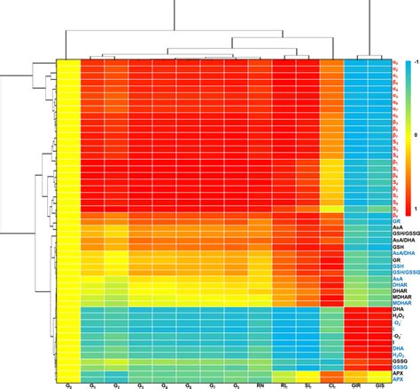 Heat Map Histogram Correlation Between Different Parameters Different Download Scientific
