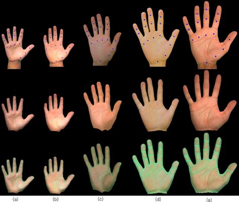 Hand Clones Of Five People The First Row Is A Set Of Source Hand