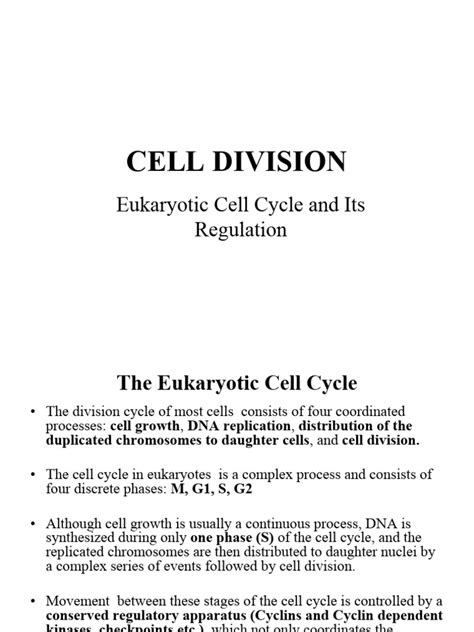 Cell Divison Pdf