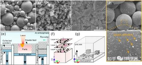 华南理工大学《jmst》：采用协同晶粒细化策略提高al Zn Mg Cu合金的强度和塑性 知乎
