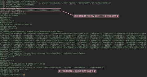 【linux】 万字 详析进程控制：fork子进程运行规则？怎么回收子进程？什么是进程替换？进程替换怎么操作？fork的子进程如何回收