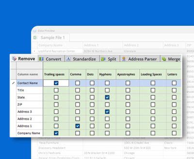 WinPure Data Cleansing Matching AI Entity Resolution