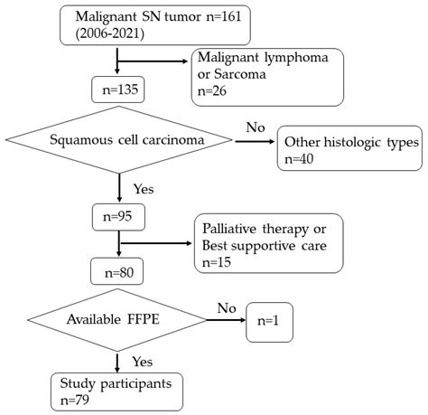 Jcm Free Full Text P16 Overexpression In Sinonasal Squamous Cell