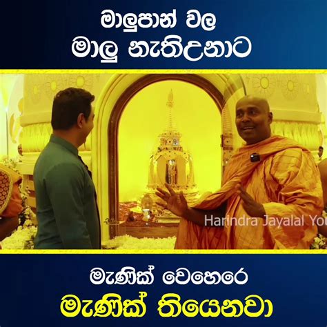 මැණික් වෙහෙරේ මැණික් තියෙනවා මාලුපාන් වල මාලු නැති උනාට මැණික්