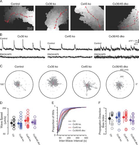 Spatiotemporal Properties Of Retinal Waves Are Similar In Control