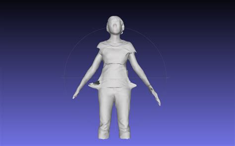 Custom Dataset Bug Issue Shunsukesaito Scanimate Github