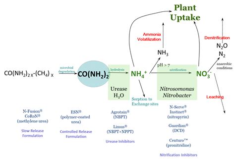 Nitrogen Inhibitors For Improved Fertilizer Use Efficiency Cropwatch