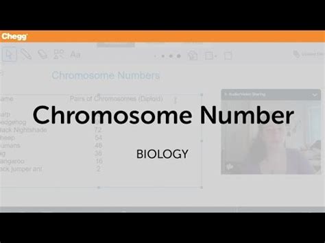 Definition Of Primary And Secondary Sex Organs Chegg Com