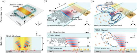 Acoustic Waves Coupling With Polydimethylsiloxane In Reconfigurable