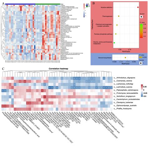 Metabolite Composition And Functional Characteristics A Heatmap Of Download Scientific Diagram