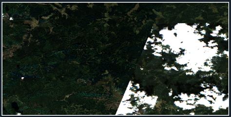 Using Sentinelhubrequest Getting The Tiles From The Same Day Python