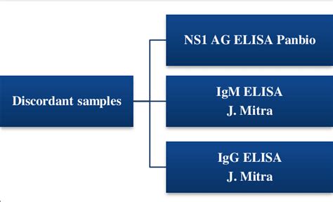 Testing Algorithm Discordant Samples Download Scientific Diagram