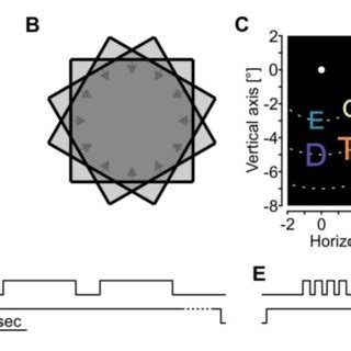 Multielectrode ECoG Array And Visual Stimulation A Multielectrode Download Scientific Diagram
