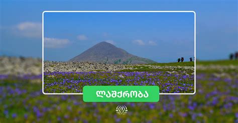 Green Zebra აბუდელაურის ფერადი ტბები