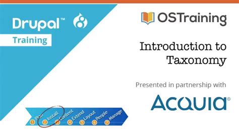 Drupal 8 Beginner Lesson 27 Introduction To Taxonomy Youtube