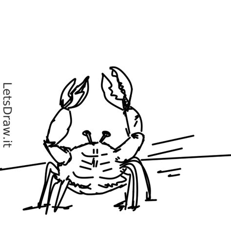How To Draw Crab Mkx5rjugo Png LetsDrawIt