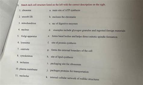 solved match each cell structure listed on the left with the