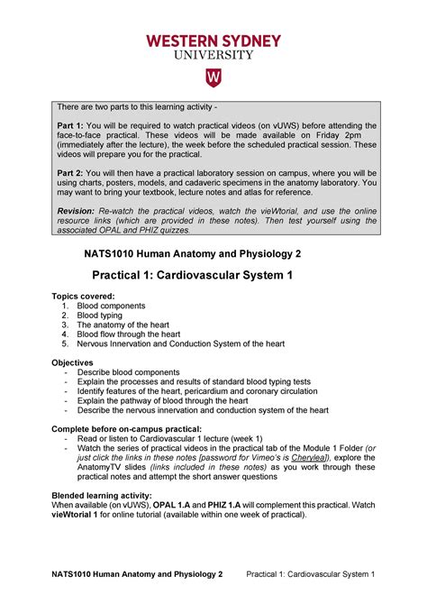 pracitcal merge 1 4 practical work module 1 4 nats1010 human