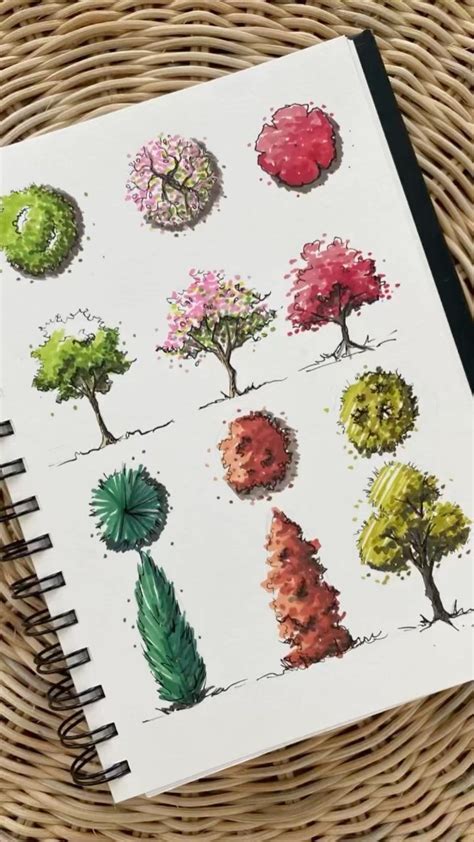 Andrea R On Instagram Sundays Tree 🌲🌲🌲🎶🎶🎶