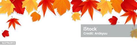 단풍 배경 포스터 배너 전단지 카드를 위한 템플릿 디자인 벡터 10월에 대한 스톡 벡터 아트 및 기타 이미지 10월 9월 가을 Istock