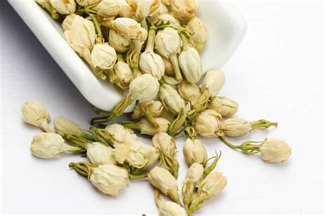 茉莉花茶的功效与作用有哪些 花百科