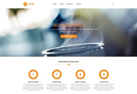 Beautiful Free Responsive Html5 Css3 Website Templates Tutorialchip