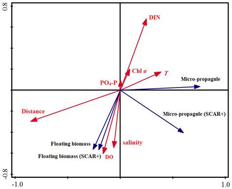distribution and species diversity of the floating green macroalgae and