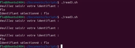 Maîtriser La Boucle While Dans Les Scripts Bash Linux
