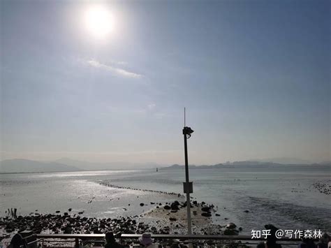 写作手法有哪些呢 知乎