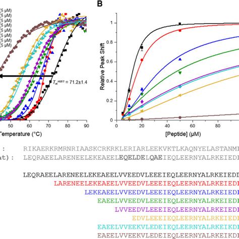 Iterative N Terminal Truncation Of Hingew Reduces Cjun Binding And