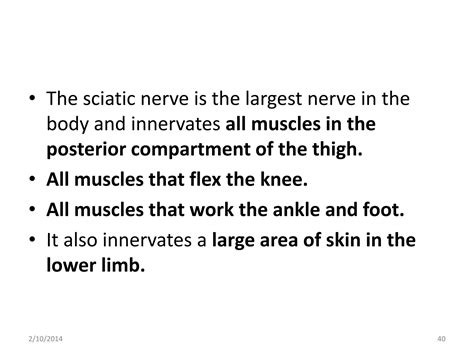 Gluteal Region Complete Ppt