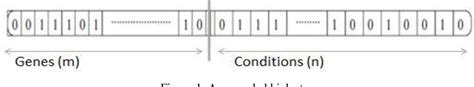 Figure 1 From A Binary Particle Swarm Optimization Approach For Gene