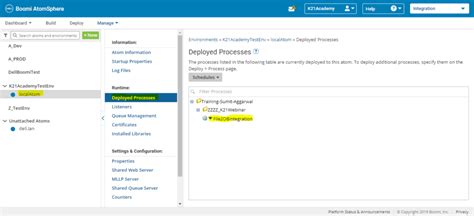 How To Schedule A Process Using Dell Boomi K21academy