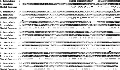 Sequence Alignment Of Mtbahas With The Yeast Ahas S Cerevisiae