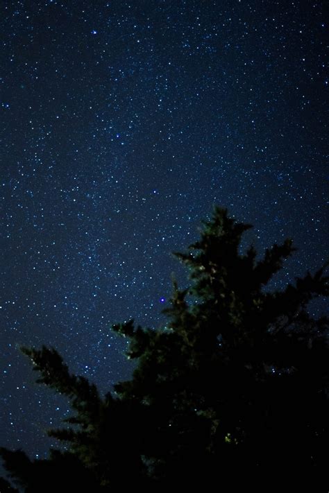 Fotoğraf Peyzaj Ağaç Star Samanyolu Atmosfer Karanlık Gökada Gece Gökyüzü Ay ışığı