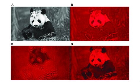 A Target Image B The 0th 2nd And C The 0th 1st Diffraction Download Scientific