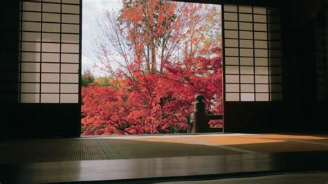 Jr東海 そうだ 京都、行こう。キャンペーン のcm 2019年 盛秋「秋は夕暮れ」篇 Cm など最新の動画をまとめるサイト ~ 動画now