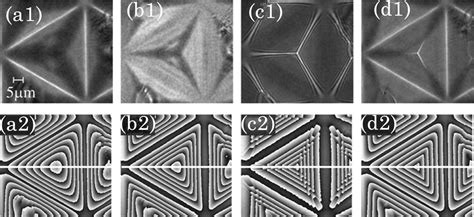 extended focus imaging in digital holographic microscopy a review