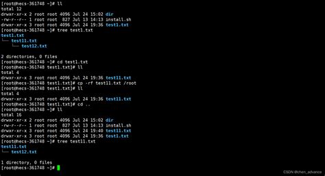 Linux 基础指令（2） Csdn博客