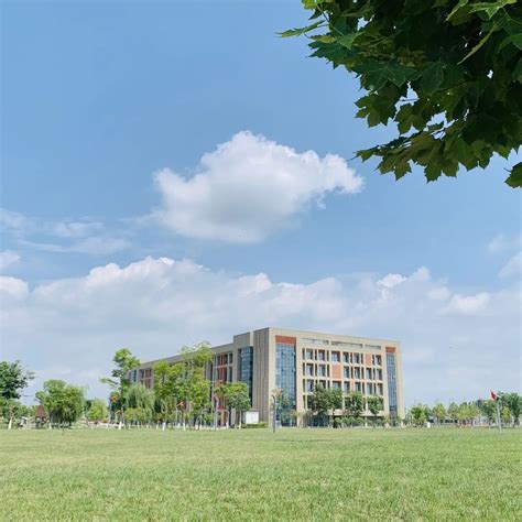 五大联赛买球官网 中国 有限公司