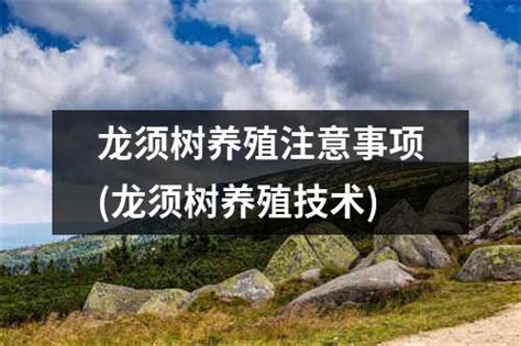 龙须海棠的养殖方法和注意事项 龙须海棠花图片 养花经验